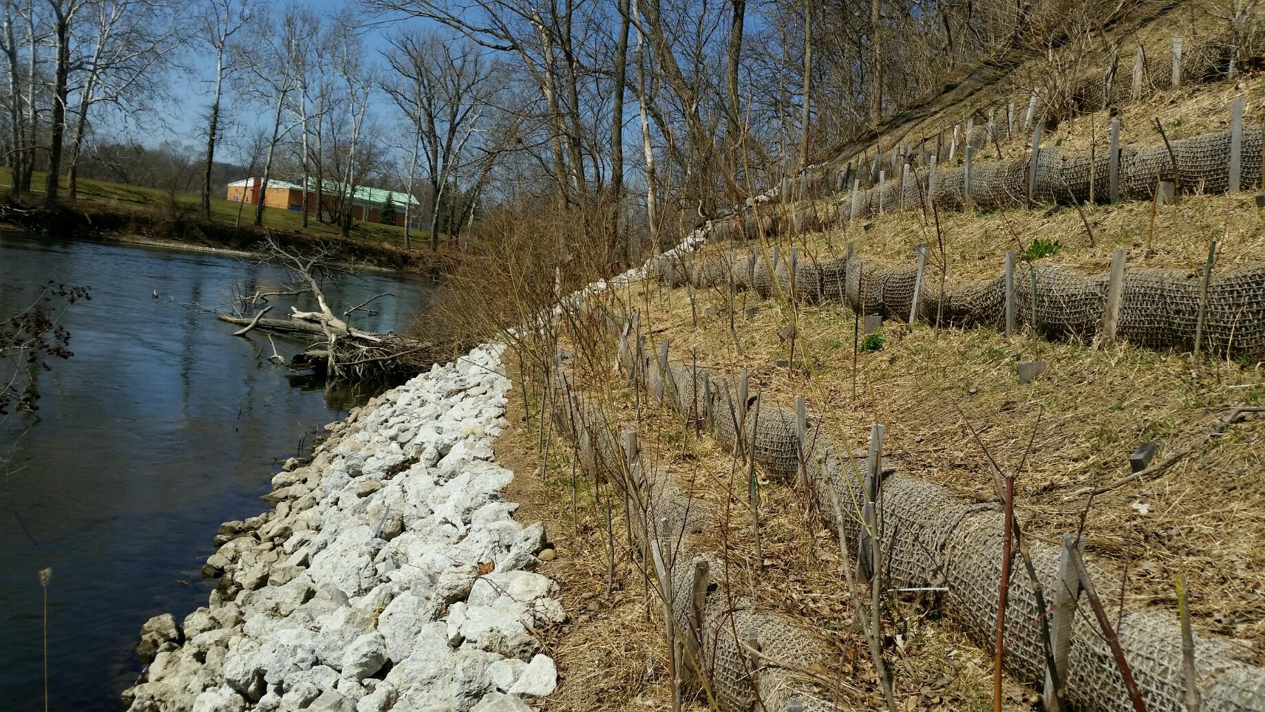 Native Species Restoration Gallery | The Stanger Group Services